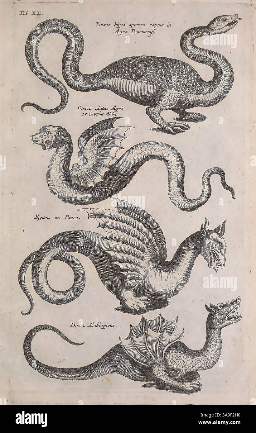 Mythical lineage hi-res stock photography and images - Alamy