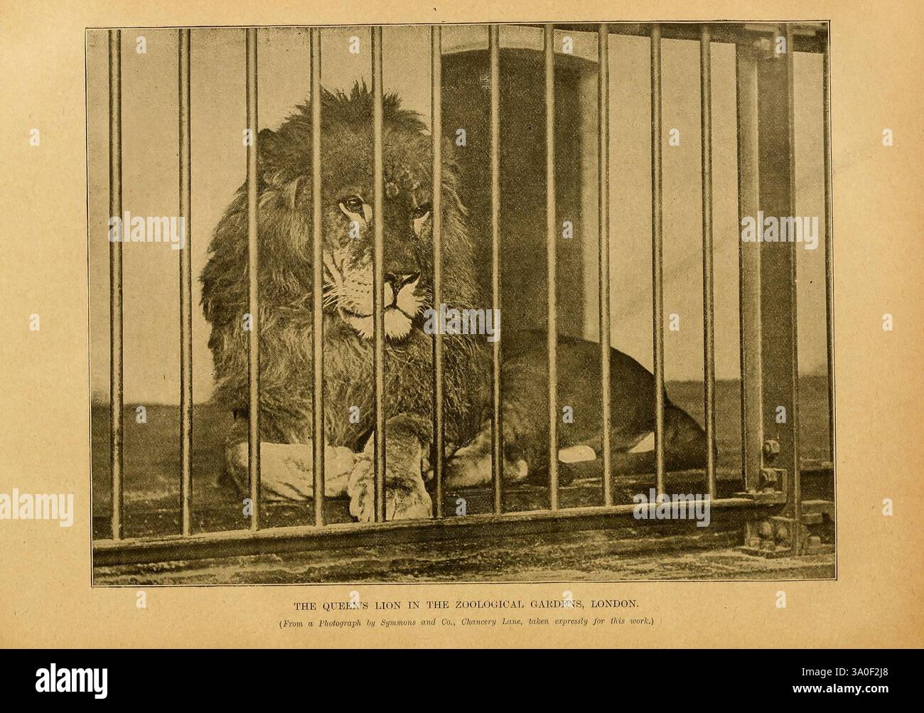 Stark wildlife image hi-res stock photography and images - Alamy