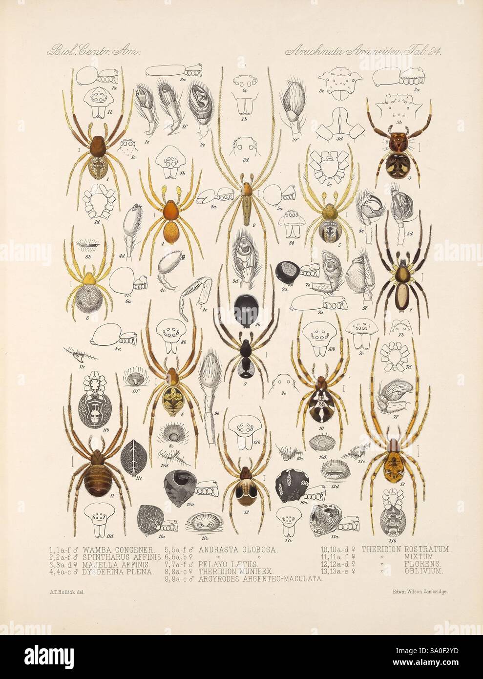 Diverse physical features hi-res stock photography and images - Alamy