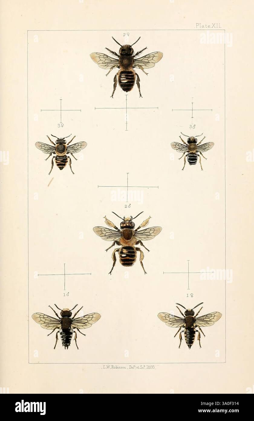 Systematic classification approach hi-res stock photography and images ...