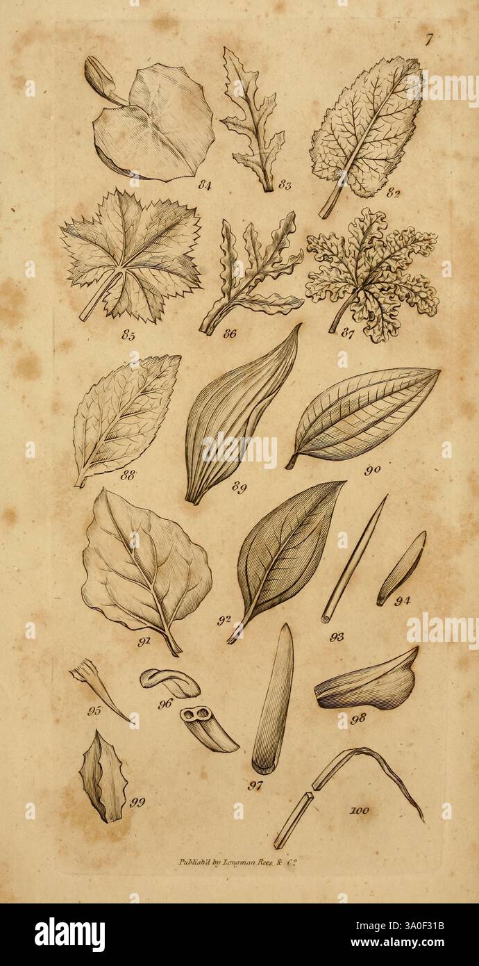 An introduction to physiological and systematic botany, London, Printed ...