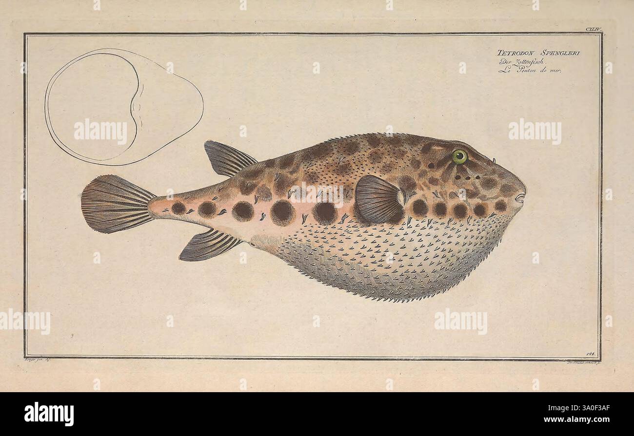 Circular diagram represents hi-res stock photography and images - Alamy