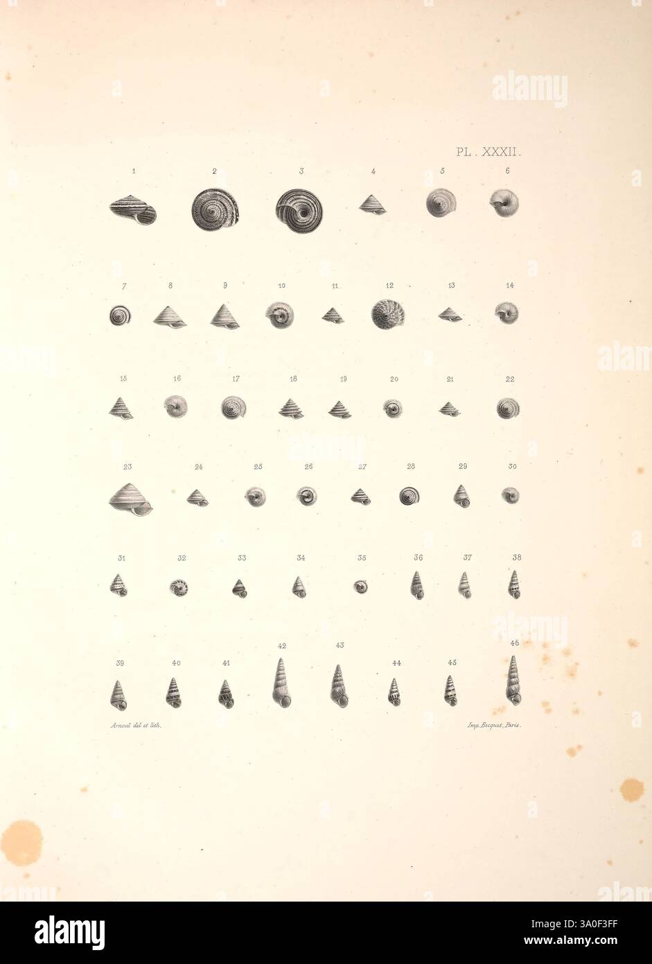 Systematically across multiple rows hi-res stock photography and images ...