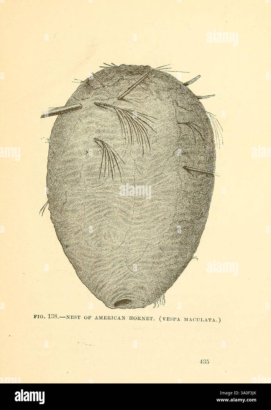 Tenants of an old farm, New York, Fords, Howard & Hulbert, 1885 1884 ...