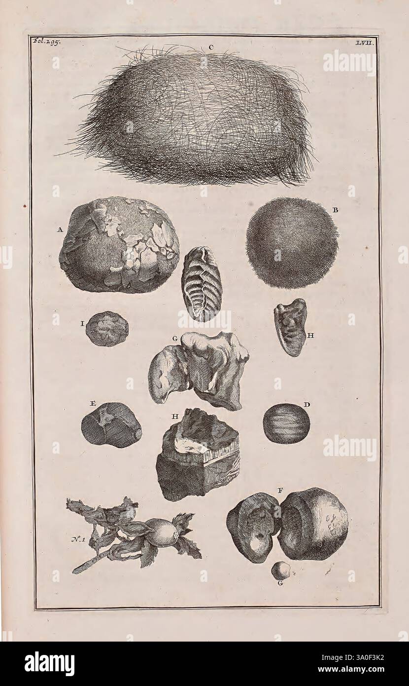 Dense tuft of fur hi-res stock photography and images - Alamy