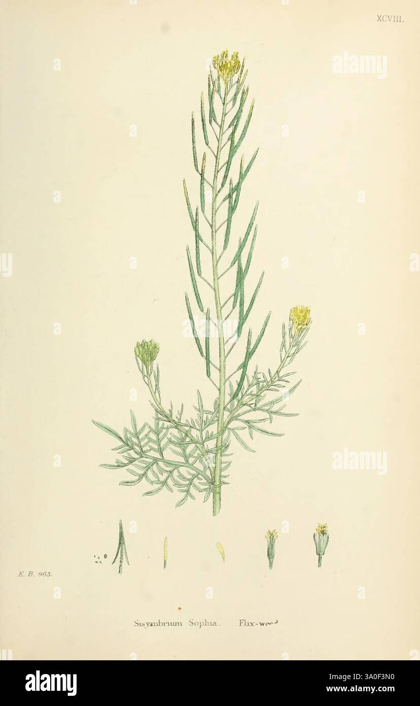 English botany Coloured figures of British plants London R. Hardwicke ...