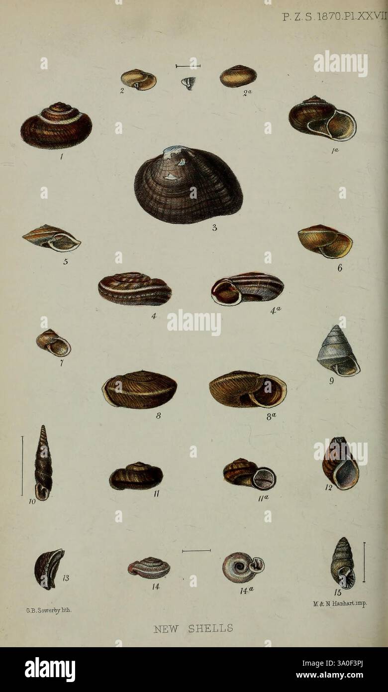 Proceedings of the Zoological Society of London London, Academic Press ...