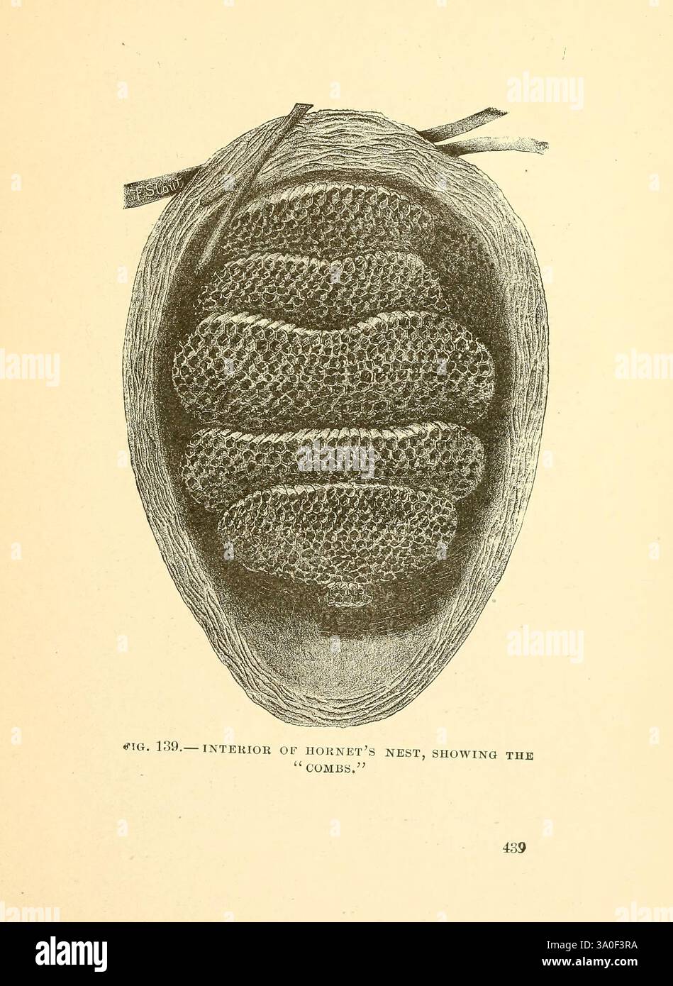 Tenants of an old farm, New York, Fords, Howard & Hulbert, 1885 1884 ...