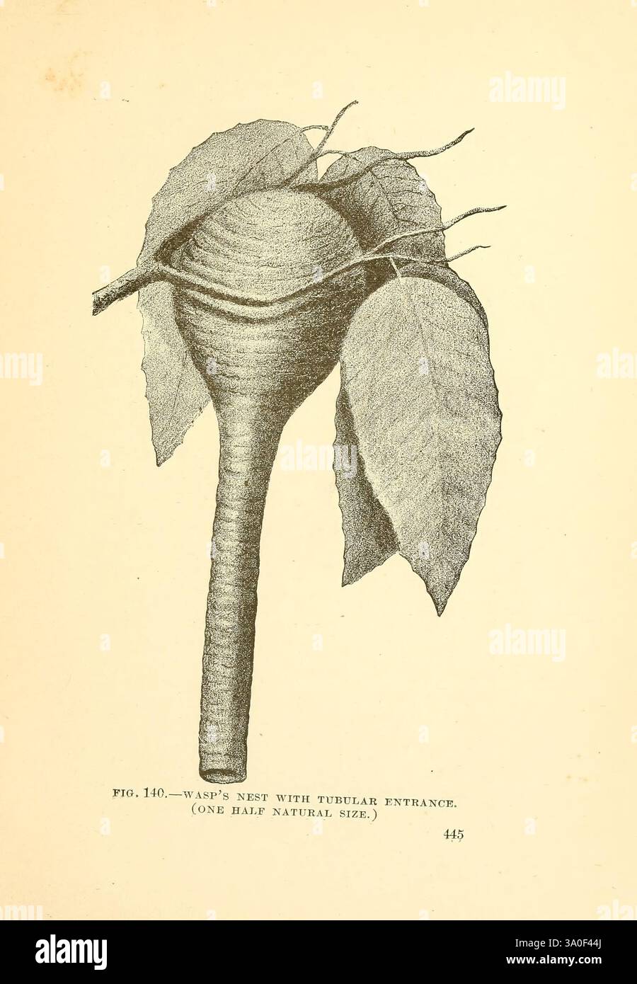 Tenants of an old farm, New York, Fords, Howard & Hulbert, 1885 1884 ...
