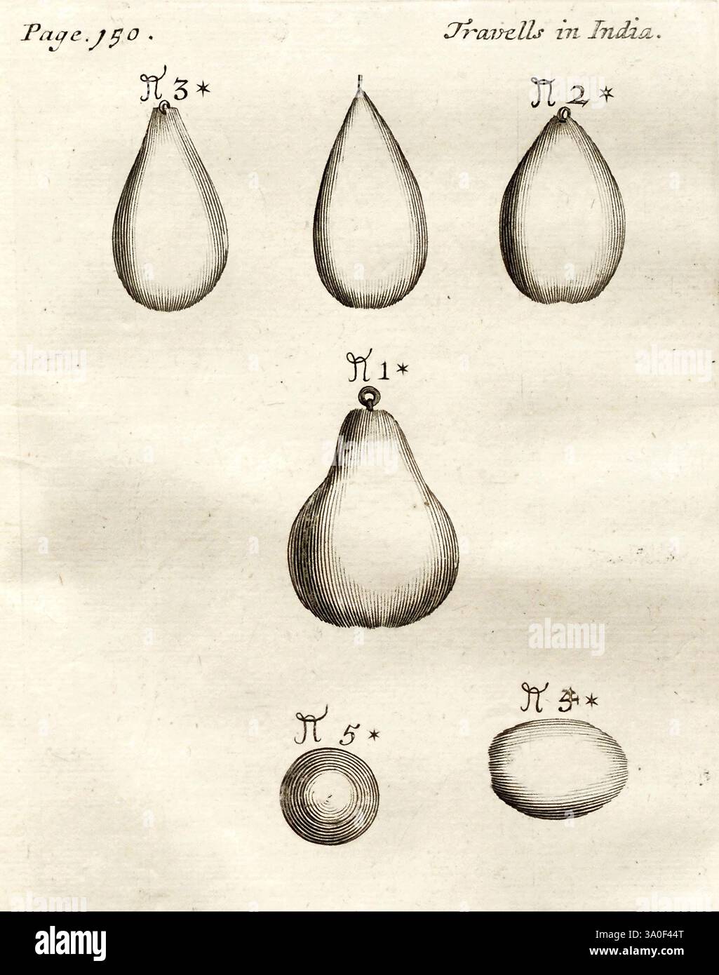 Five distinct shapes of teardrop hi-res stock photography and images ...