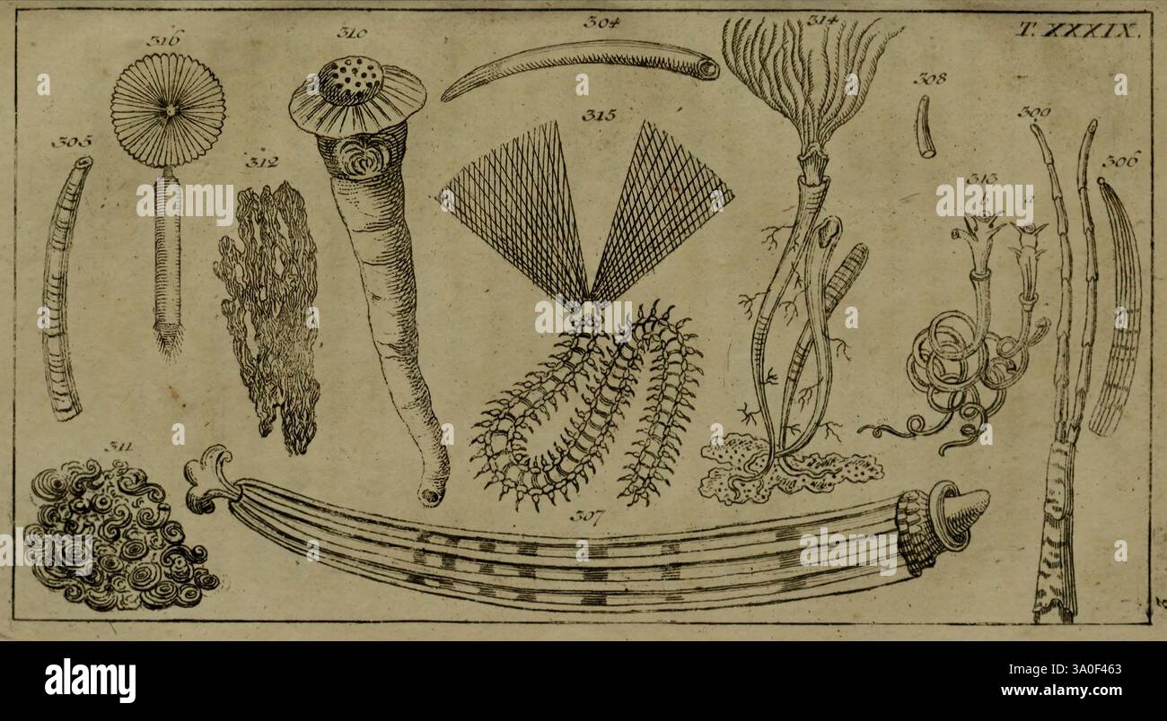 Numbered cylinders hi-res stock photography and images - Alamy