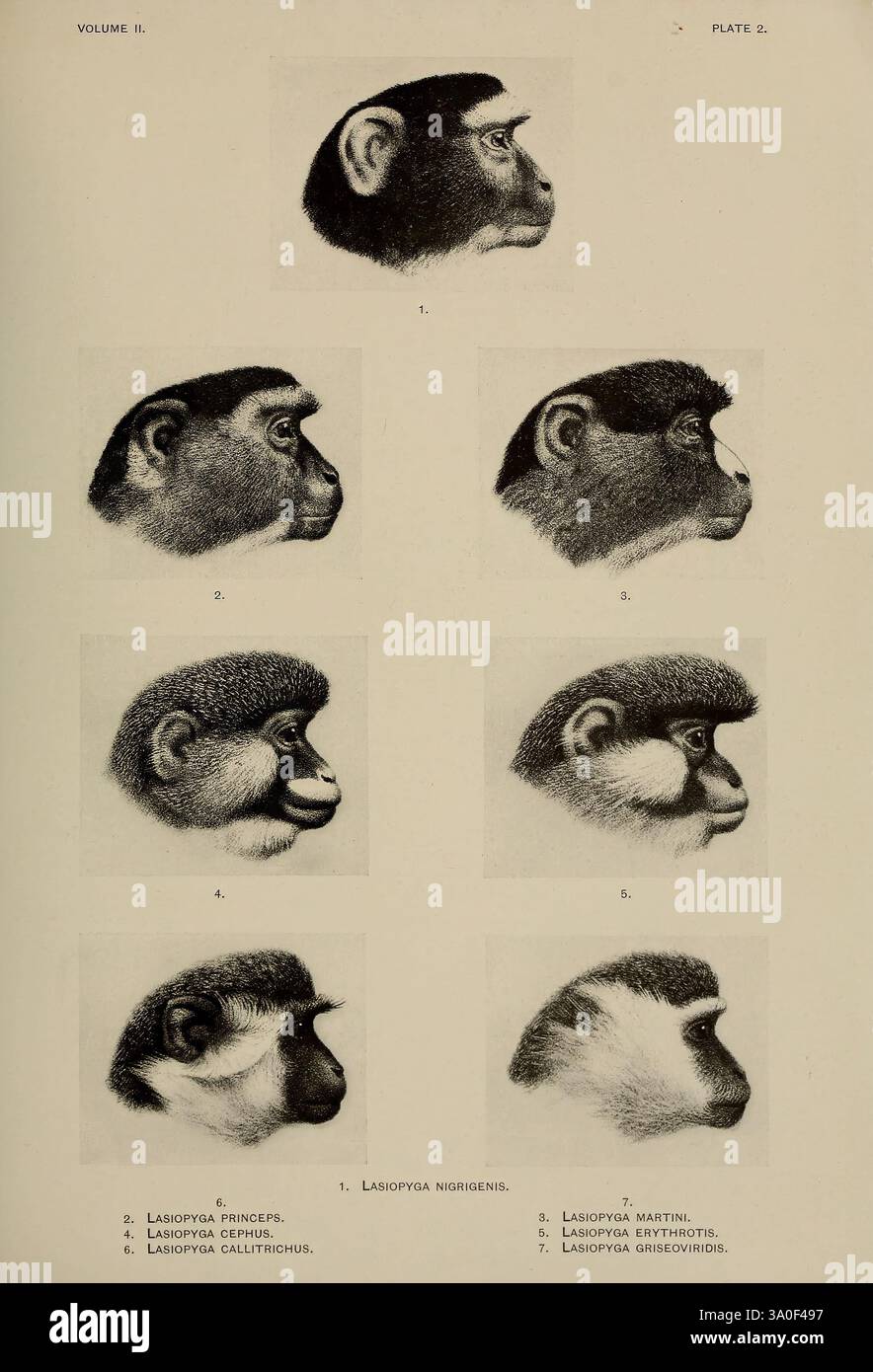 Profiles labeled hi-res stock photography and images - Alamy