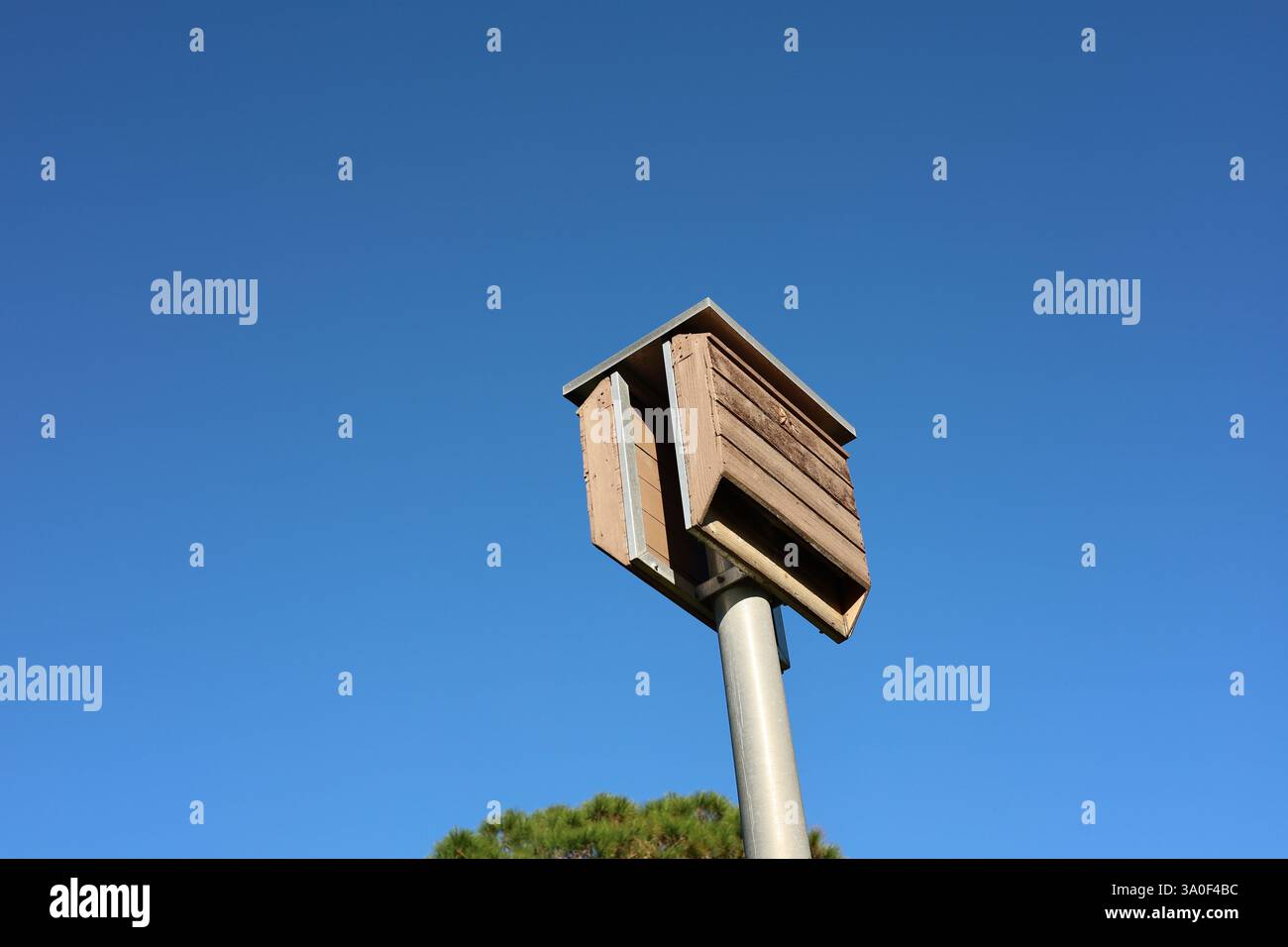 Bat preservation habitat on high pole with blue sky background Stock ...