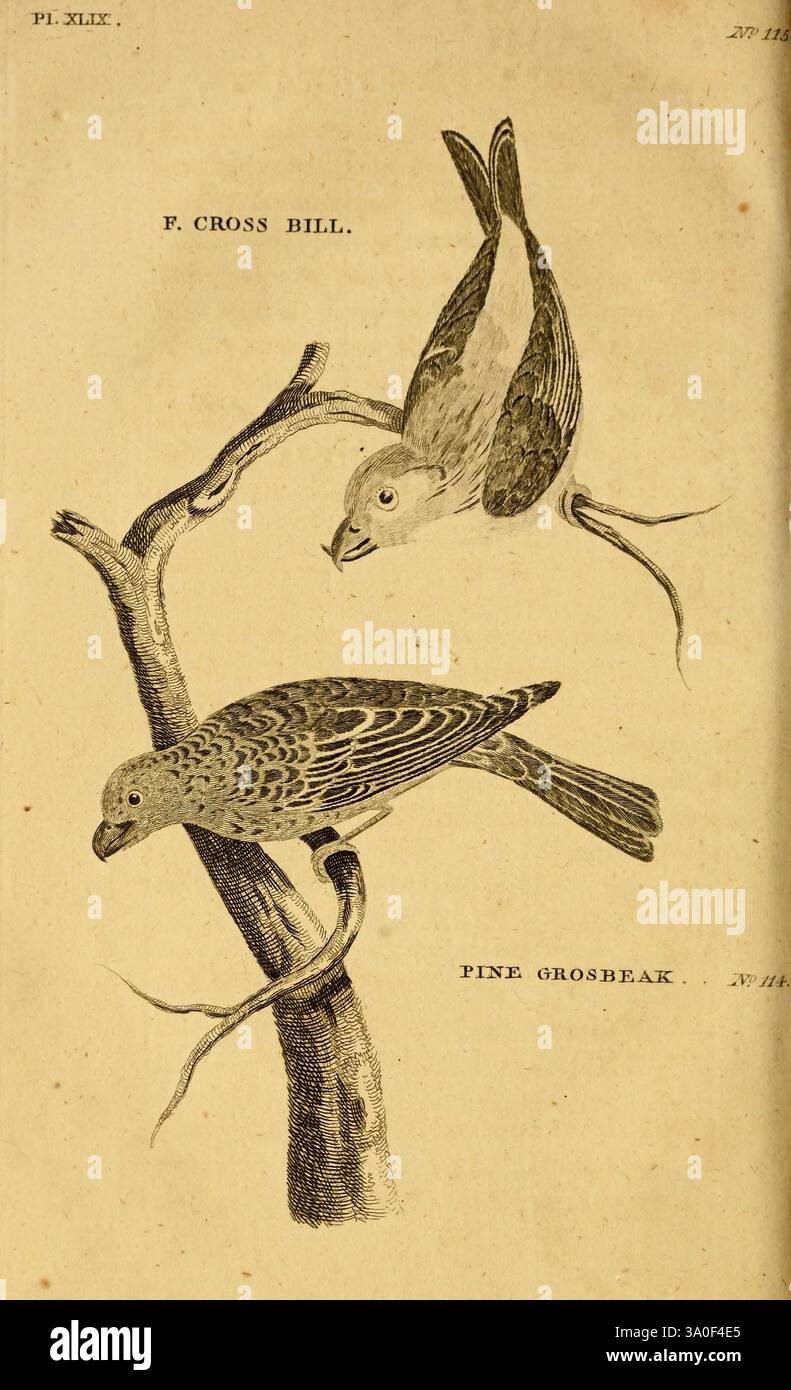 British, Zoology, Warrington, Printed by W. Eyres, for B. White, London ...