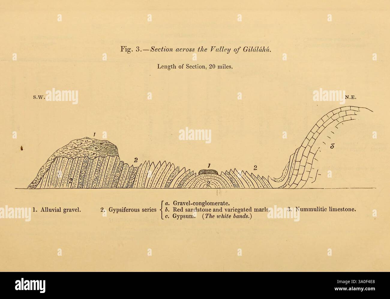 Labeled section highlights key characteristics hi-res stock photography ...