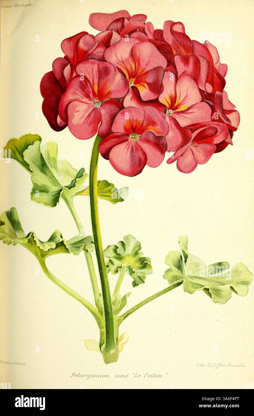 Revue horticole Paris Librairie agricole de la maison rustique 1829 ...