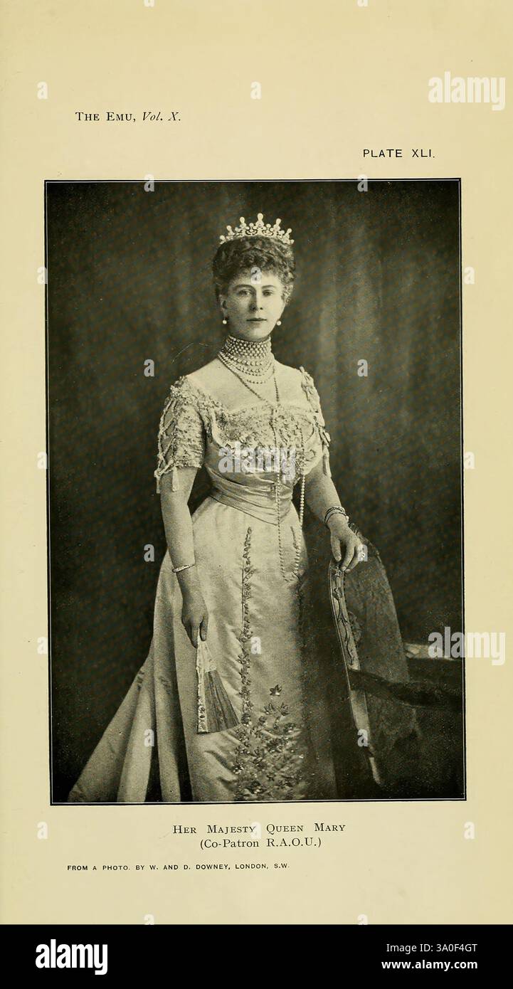 Regal figure stands hi-res stock photography and images - Alamy