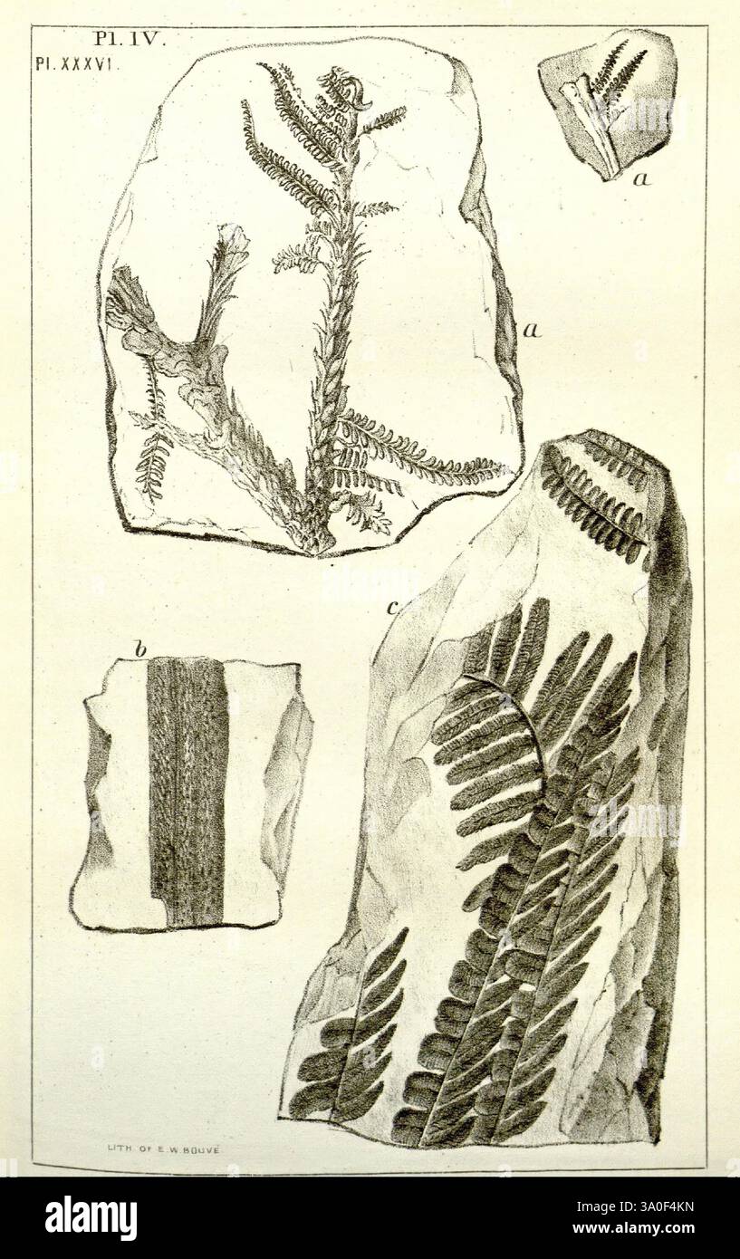 Left section depicts hi-res stock photography and images - Alamy