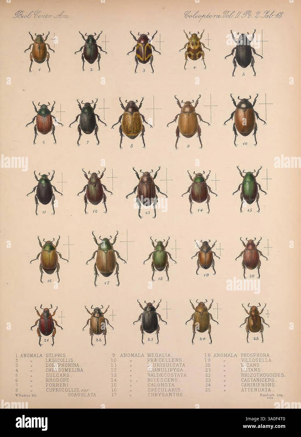 List of scientific names hi-res stock photography and images - Alamy