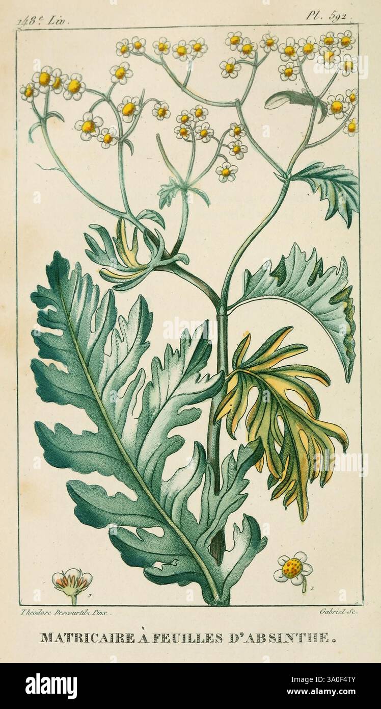 Flore pittoresque et médicale des Antilles, Paris, Pichard, 1821-1829 ...