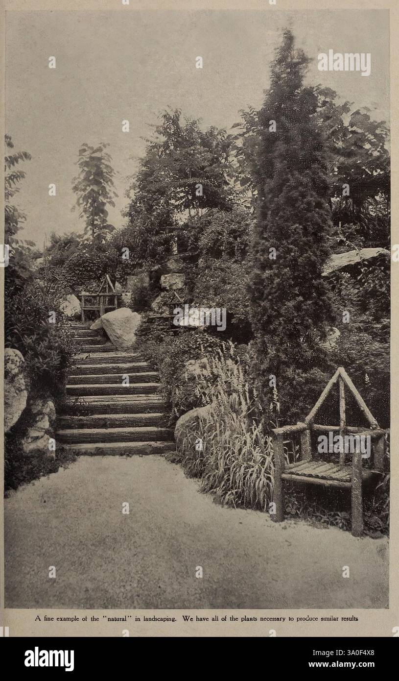 Moon's hardy trees & plants for every place & purpose, Morrisville, Pa ...