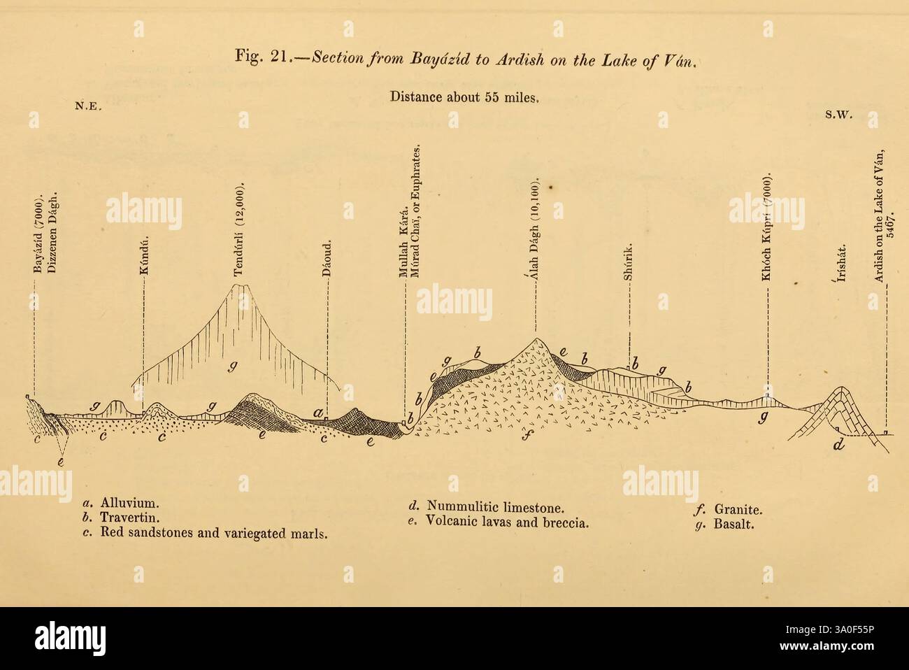 The Quarterly Journal of the Geological Society of London, v. 11 (1855 ...