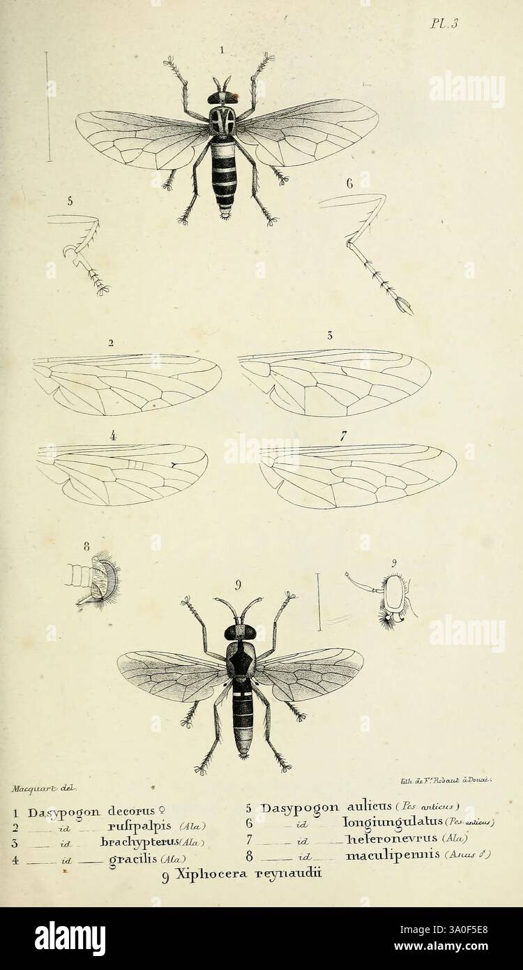 Drawing depicts different angles hi-res stock photography and images ...