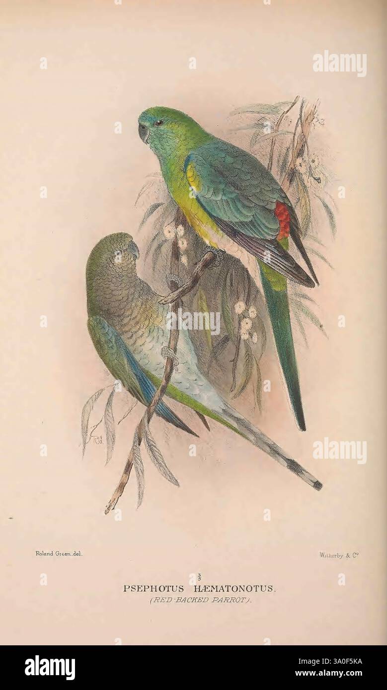 The Birds of Australia London, Witherby & Co, 1910-1927. Australia ...