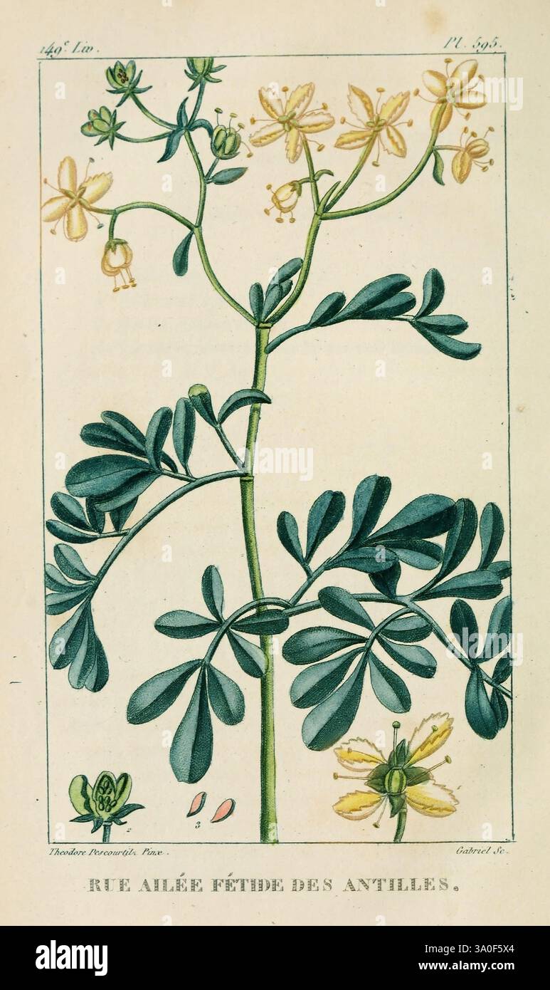 Flore pittoresque et médicale des Antilles, Paris, Pichard, 1821-1829 ...