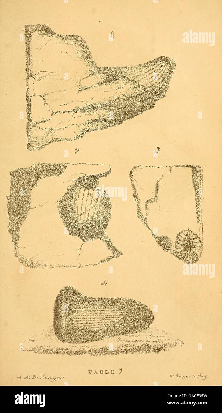 The natural history of South Devon, Plymouth, Printed and published by ...