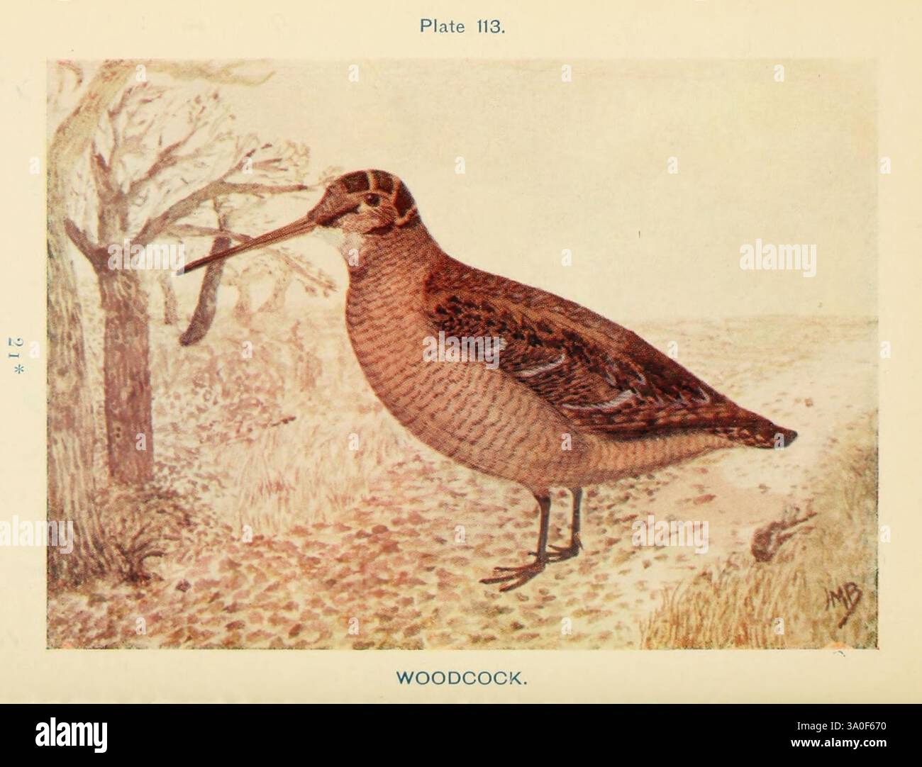 British birds & their eggs, London, W. & R. Chambers, 1909, birds ...