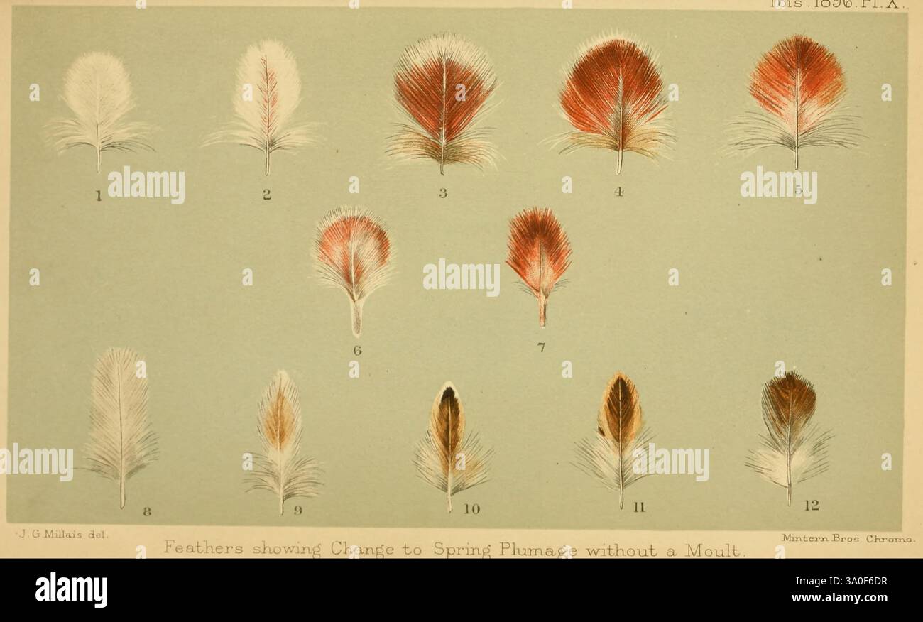 Gentle hues range hi-res stock photography and images - Alamy