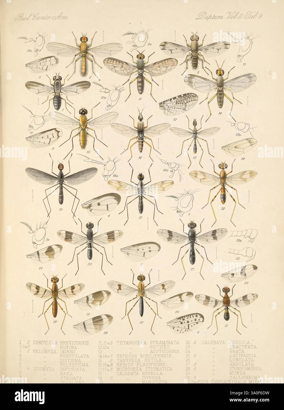 Arranged in systematic rows hi-res stock photography and images - Alamy