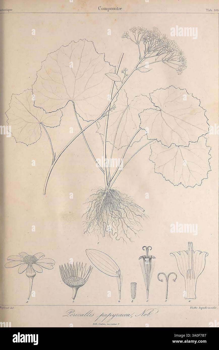 Histoire naturelle des Iles Canaries, Paris, Béthune, éditeur, 1836 ...