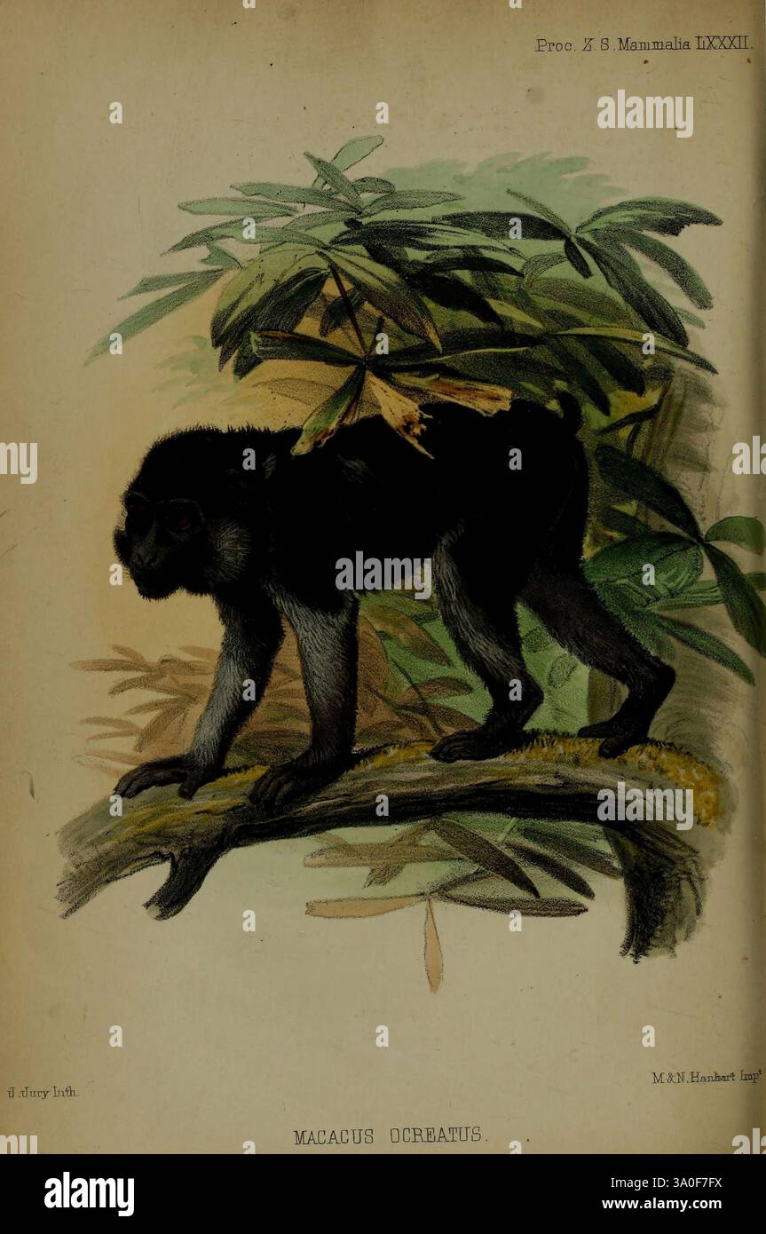 Proceedings of the Zoological Society of London, 1860, London, Academic ...