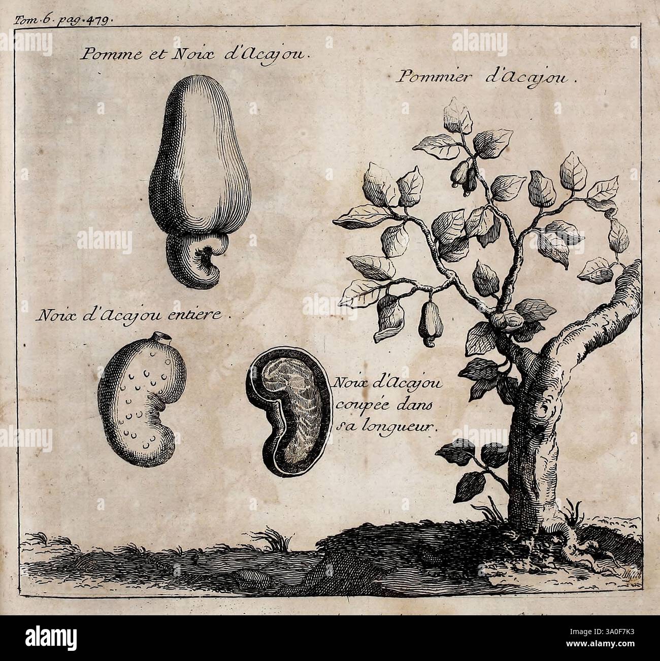 Nouveau voyage aux isles de l'Amerique A Paris, au palais, Chez ...