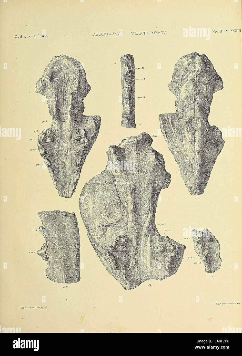 Displays multiple angles hi-res stock photography and images - Alamy