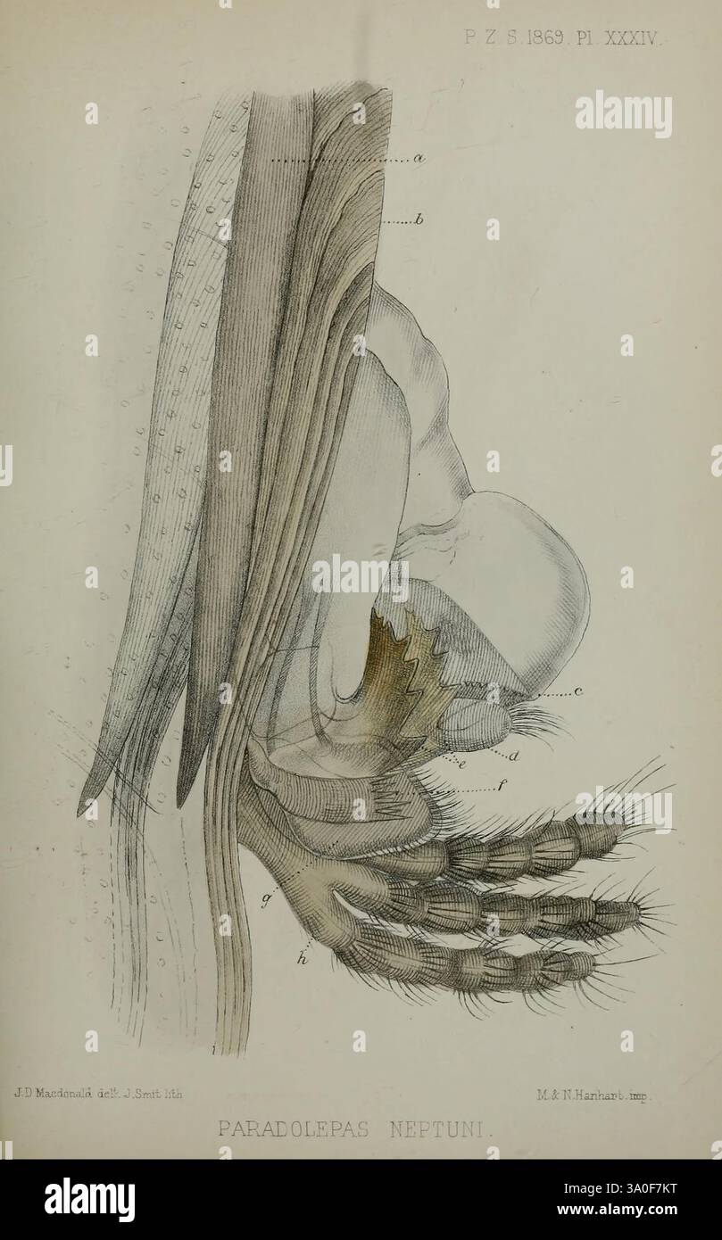 Proceedings of the Zoological Society of London, London, Academic Press ...