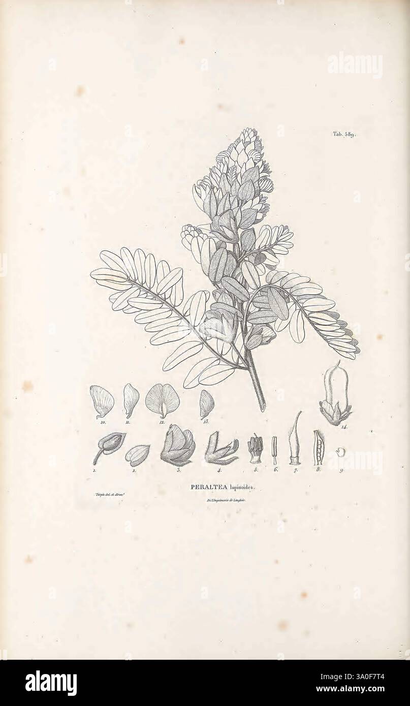 Prominent branch displays hi-res stock photography and images - Alamy