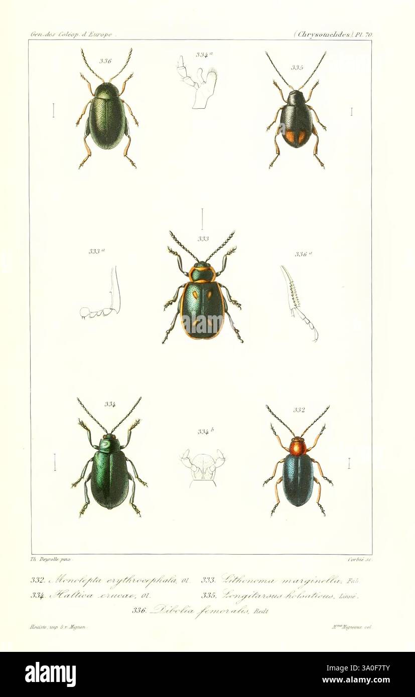 Genera, des, coléoptères, d'Europe, Paris, Chez, A. Deyrolle, 1857-1868 ...