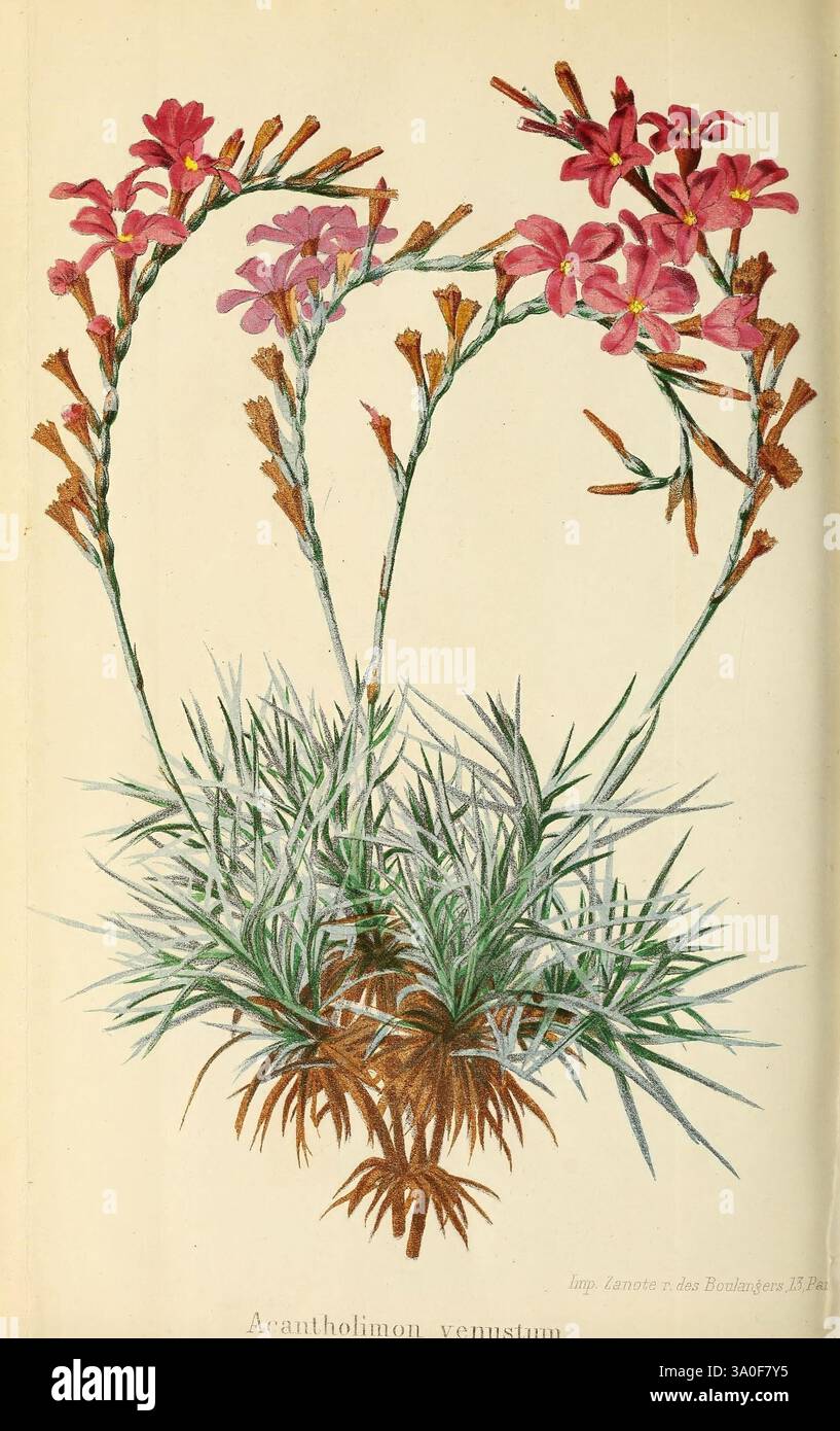 Revue horticole Paris Librairie agricole de la maison rustique 1829 ...