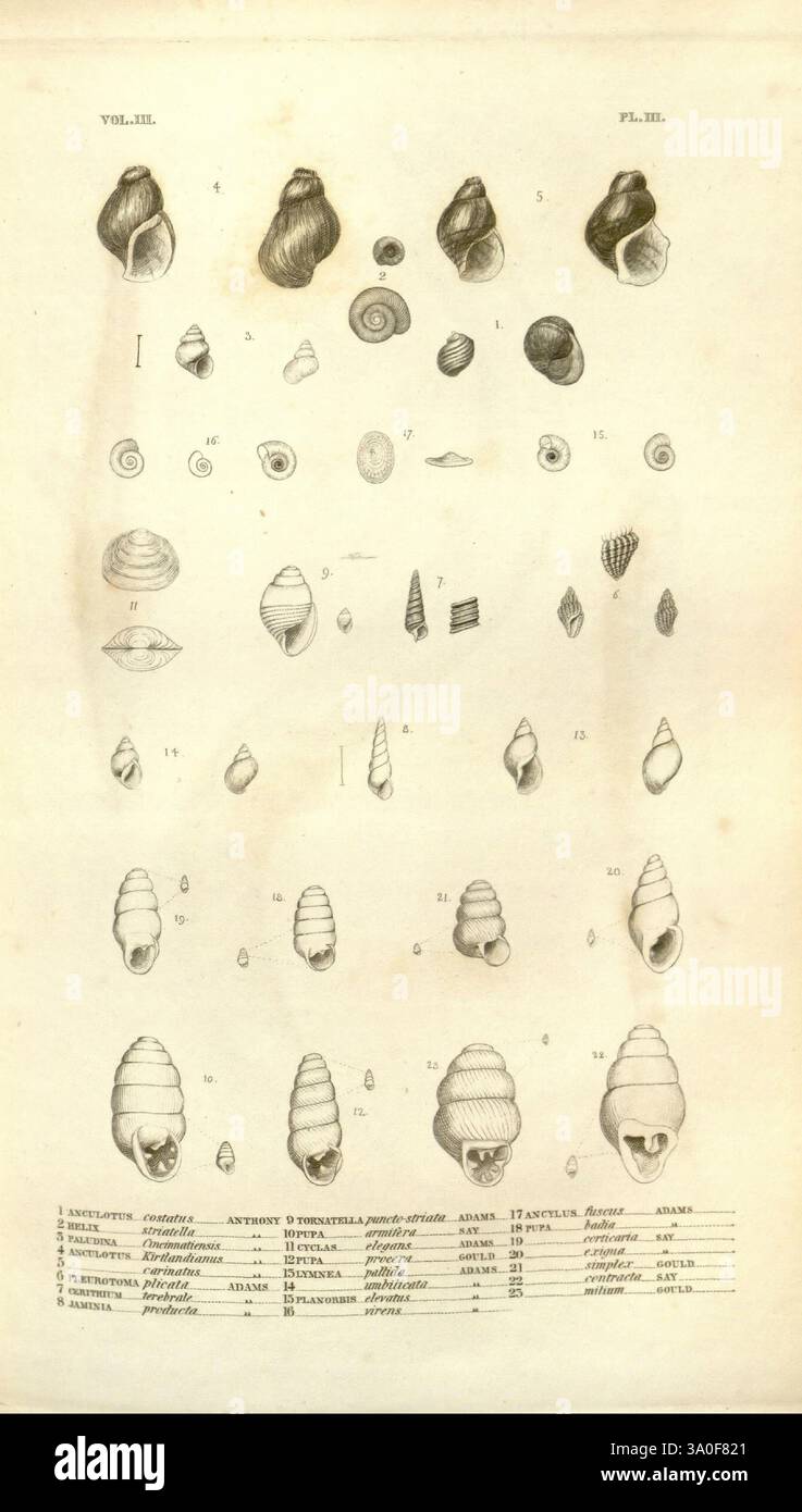 Entire layout provides hi-res stock photography and images - Alamy