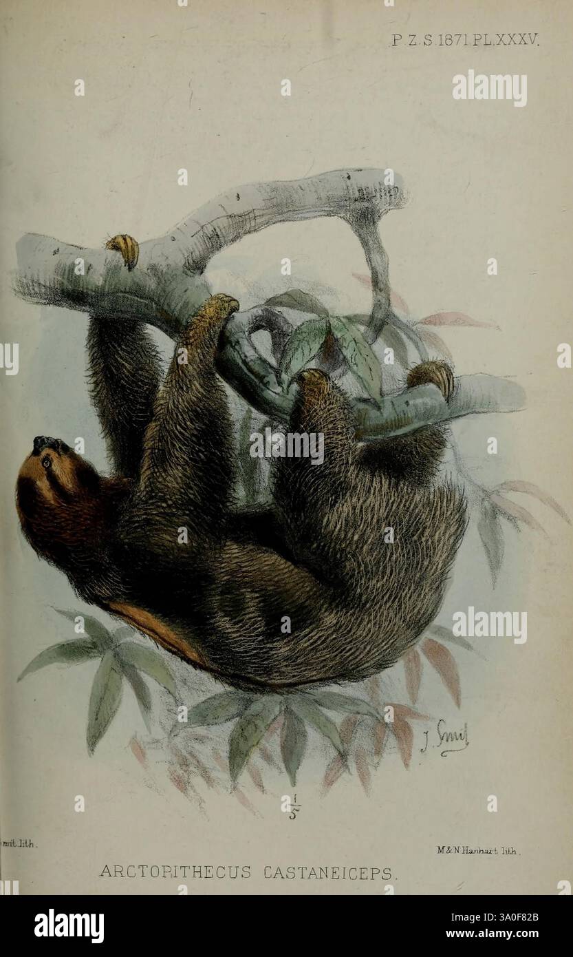 Creatures expression conveys hi-res stock photography and images - Alamy