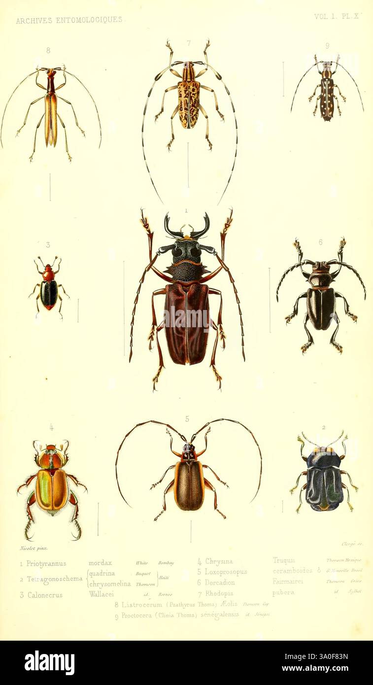A collection of detailed illustrations showcasing various species of ...