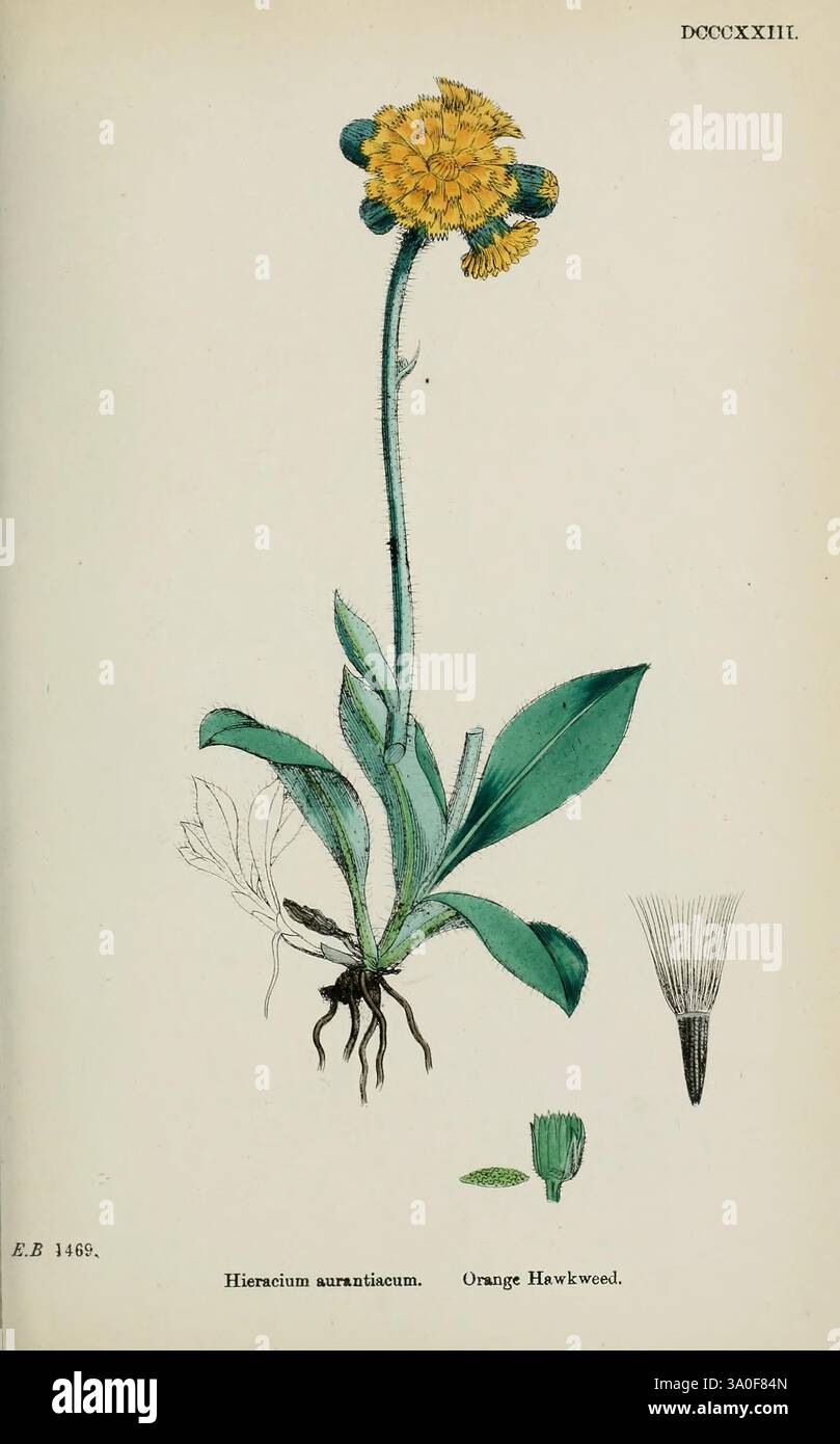 English botany, or Coloured figures of British plants, London, R ...