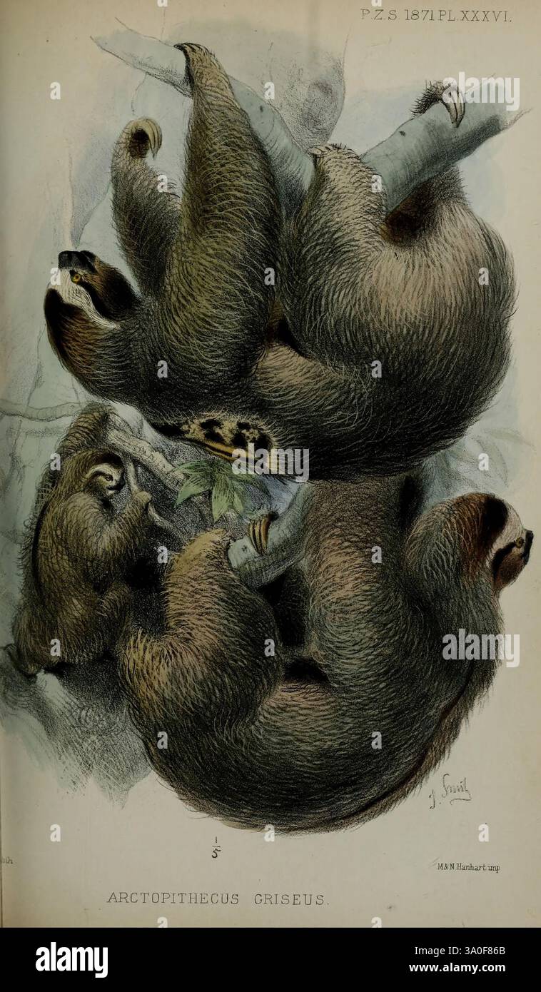 Emphasizing playful expressions hi-res stock photography and images - Alamy