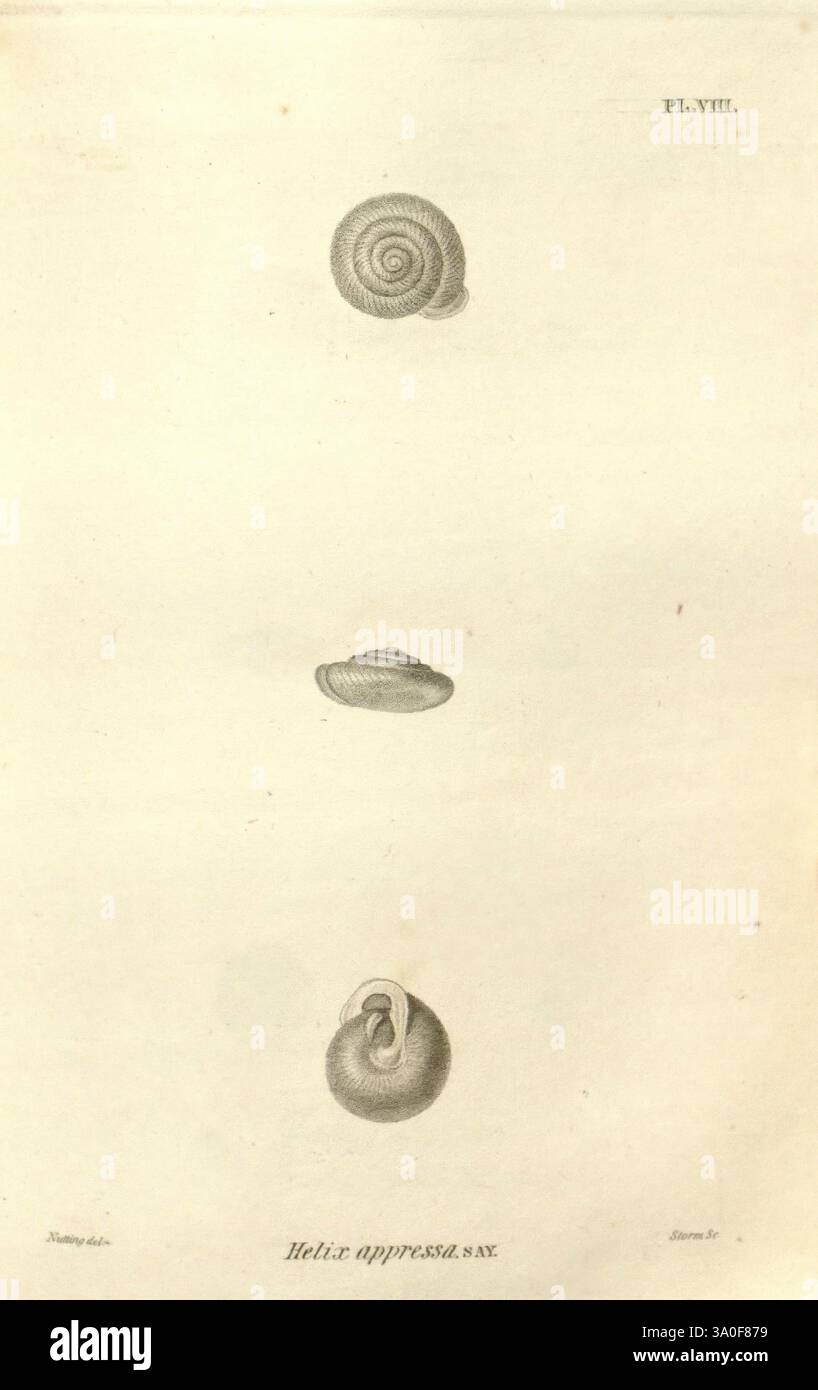 Boston Journal of Natural History. Boston, Boston Society of Natural ...