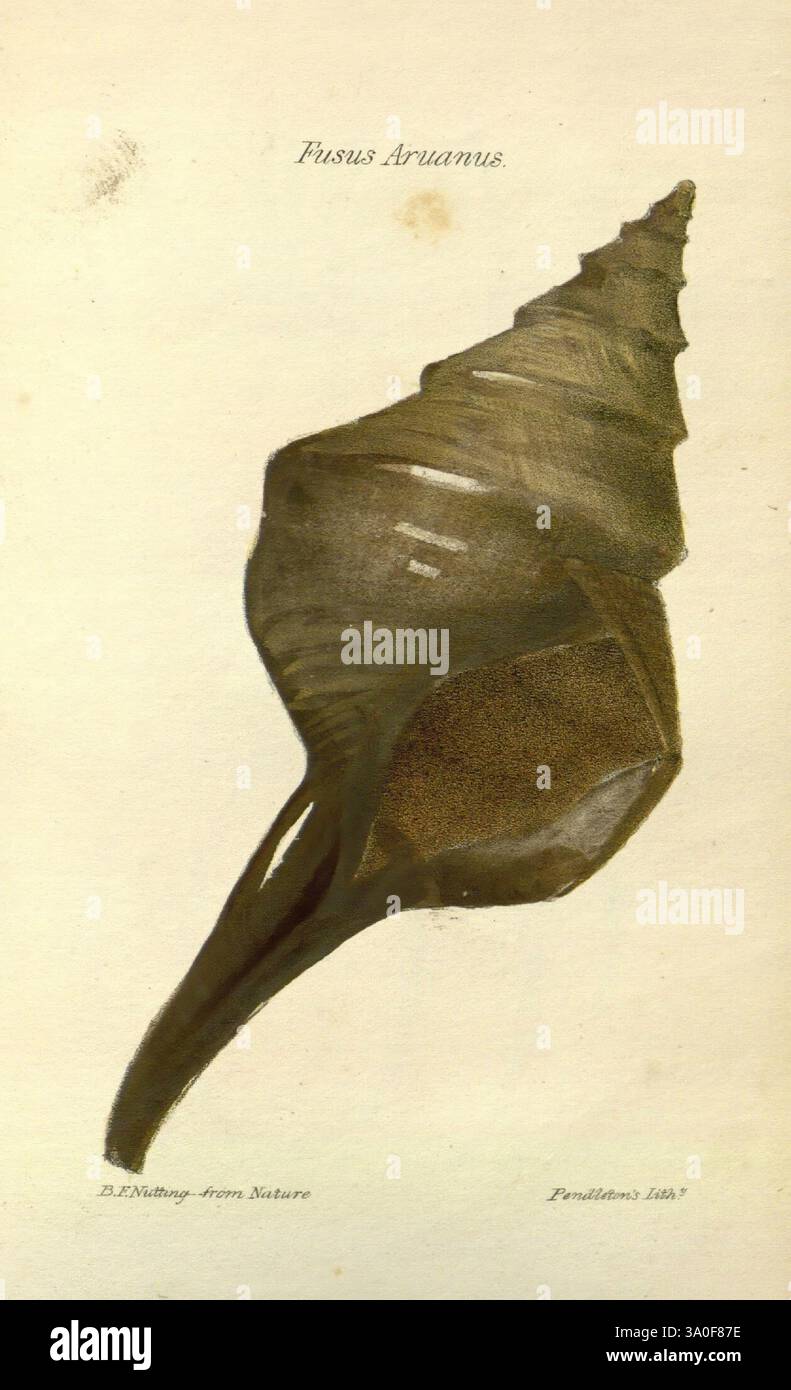 Boston, Journal of Natural History, Boston Society of Natural History ...