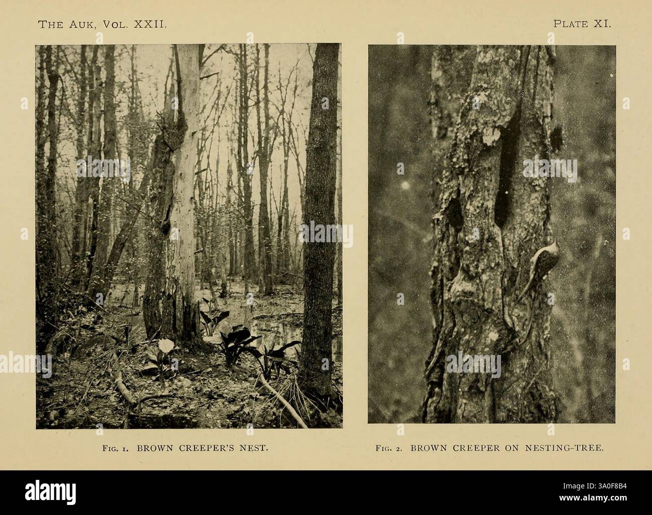 Illustration depicts two distinct scenes related hi-res stock ...