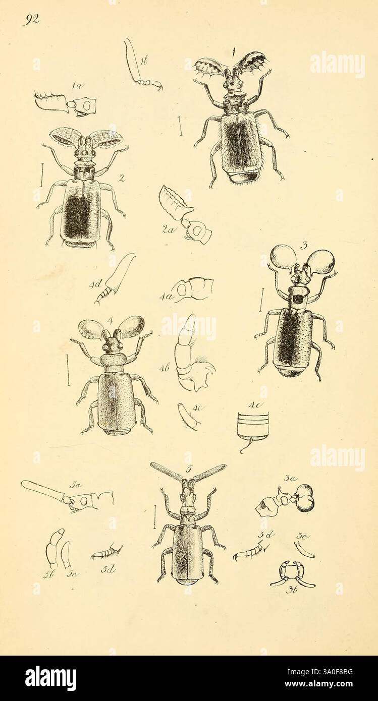 Diagrammatic representation aids hi-res stock photography and images ...